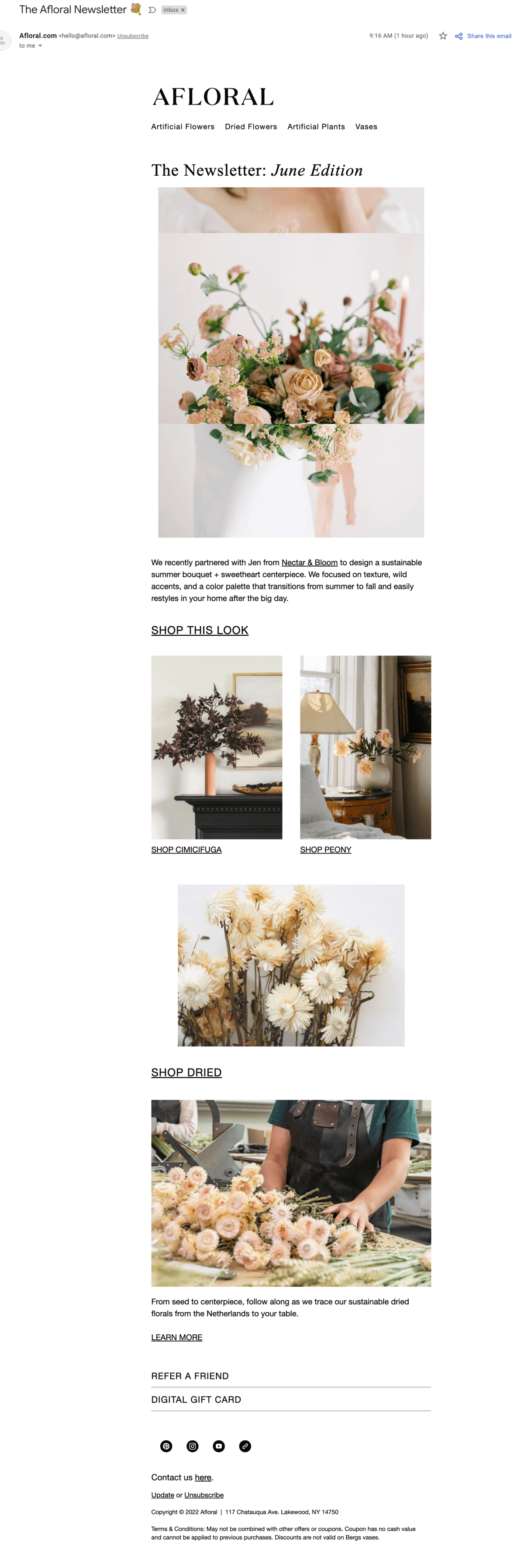 How To Turn A "Bad" Email Into A "Good" Email (With Examples!) - Annie ...